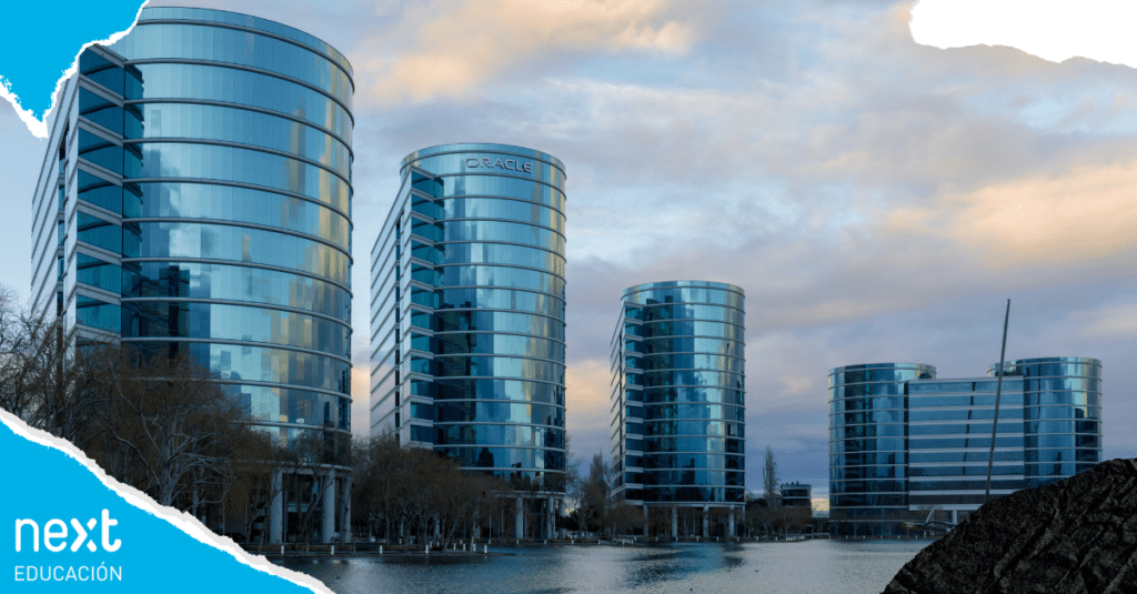 Diferencias entre una empresa internacional y una multinacional - Next ...