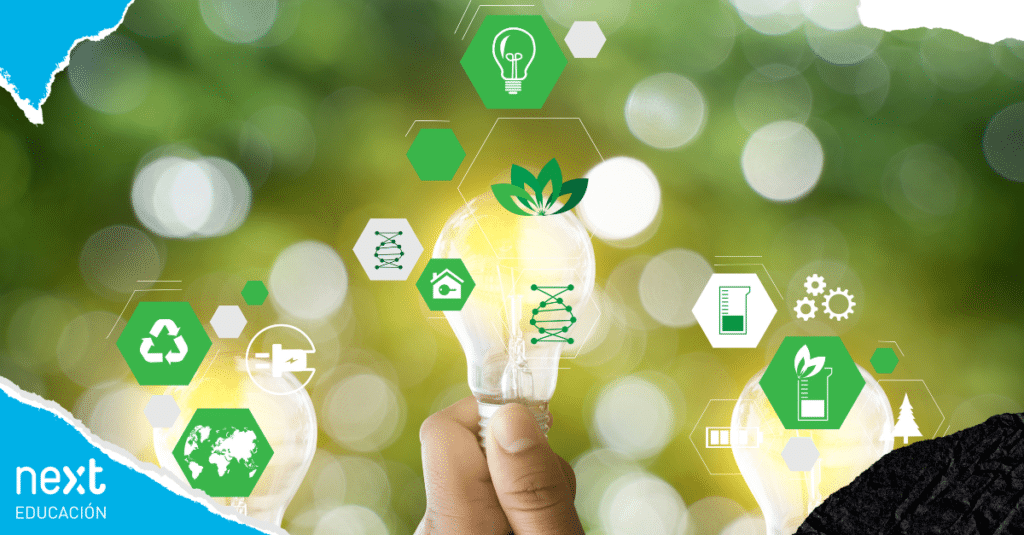 ¿Qué son los Bonos Verdes y qué proyectos financian? - Next Educación